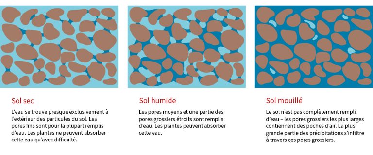 Les fonctions du sol: un sol sain, c’est moins d’inondations